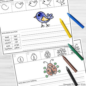 Four Seasons Directed Drawings: Differentiated Draw and Write ...